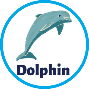 What Is A Chronotype? - Sleep Care Online